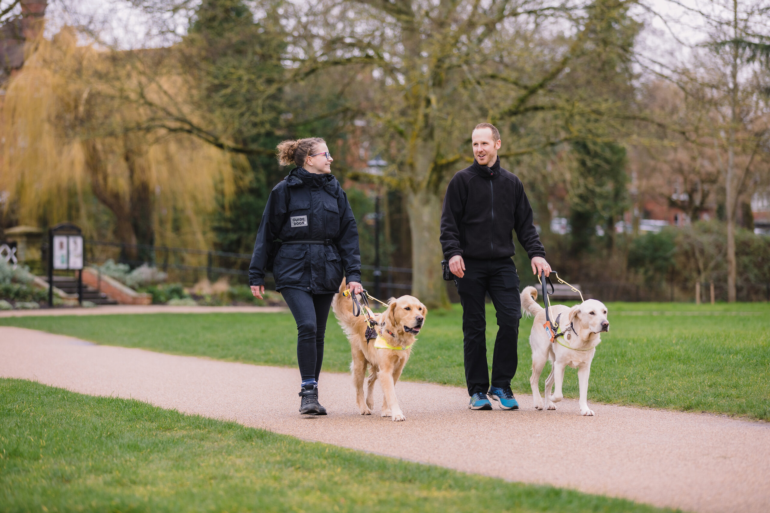 Guide Dogs - Saxton Bampfylde - Global Executive Search & Leadership ...