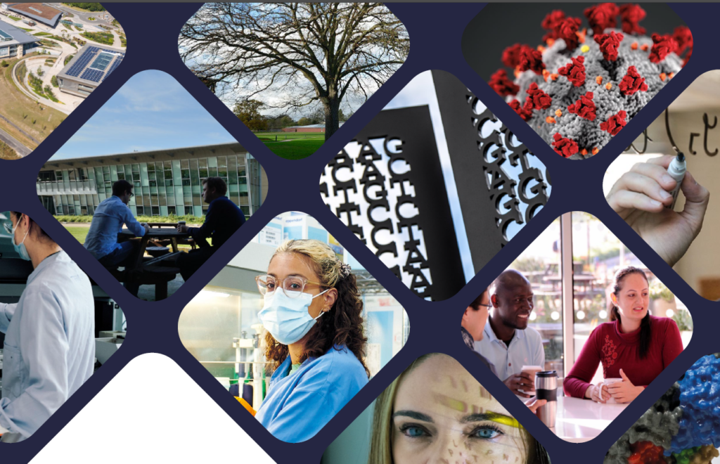 The Wellcome Trust Sanger Institute - Saxton Bampfylde - Global ...