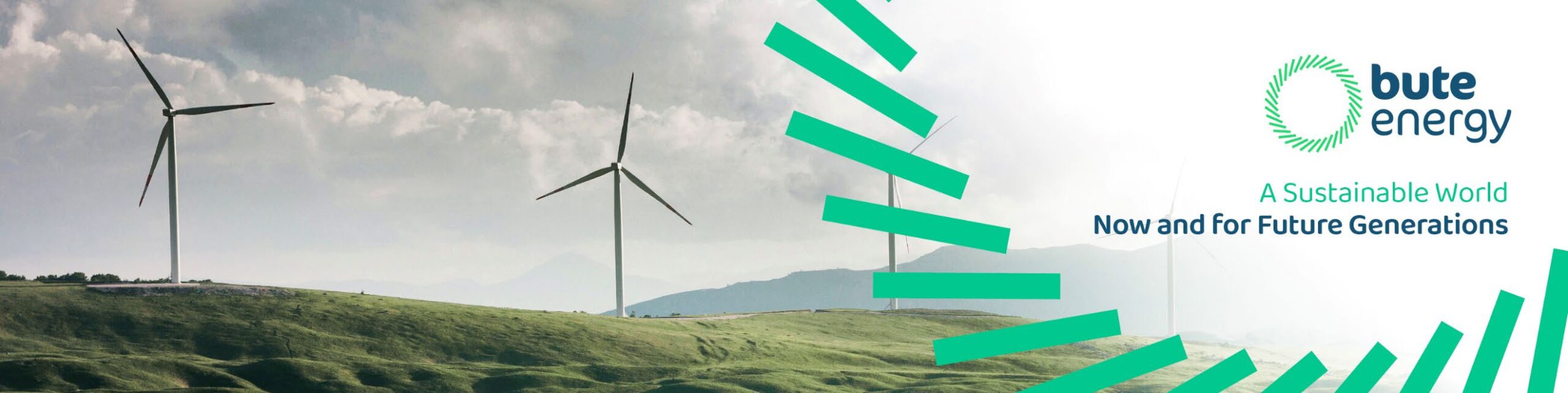 Bute Energy - Saxton Bampfylde - Global Executive Search & Leadership ...