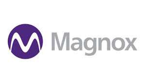 Magnox Ltd - Saxton Bampfylde - Global Executive Search & Leadership ...
