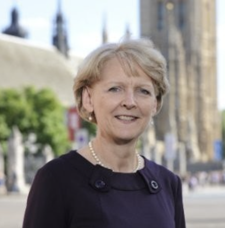 Liz Peace CBE - Saxton Bampfylde - Global Executive Search & Leadership ...