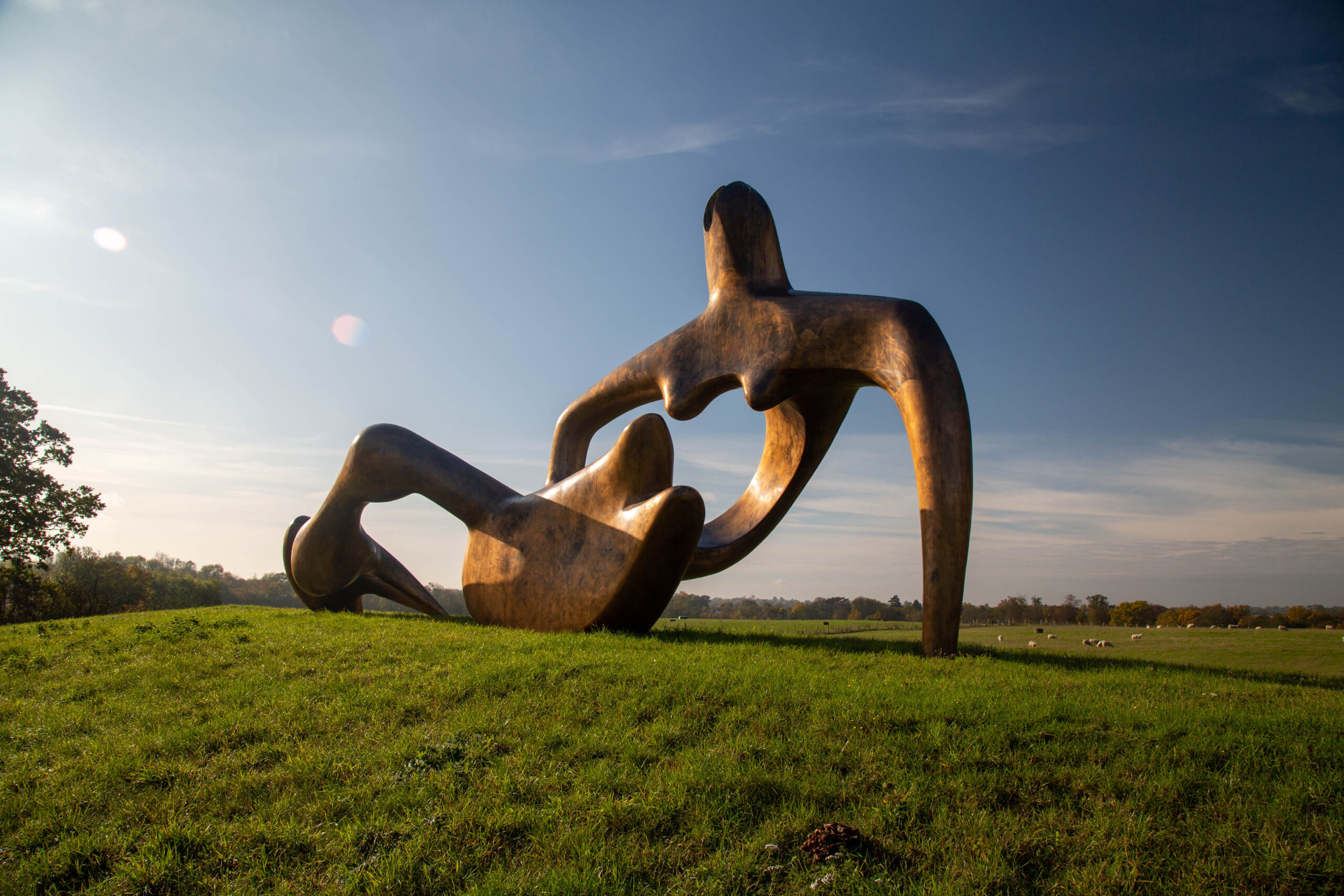 The Henry Moore Foundation - Saxton Bampfylde - Global Executive Search & Leadership Consulting